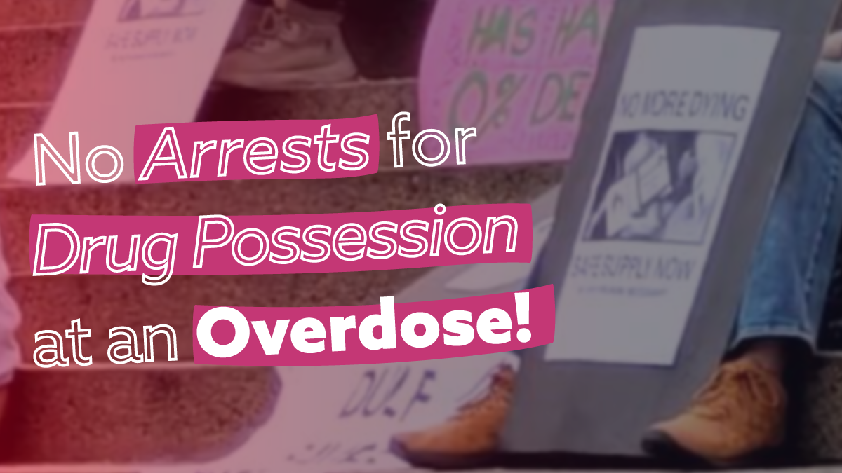 Pivot to intervene at the Supreme Court of Canada in R v Wilson - Pivot ...