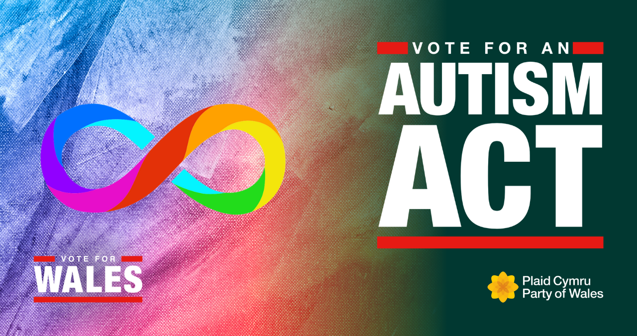 On World Autism Awareness Day Plaid pledges to bring in Autism Act in ...