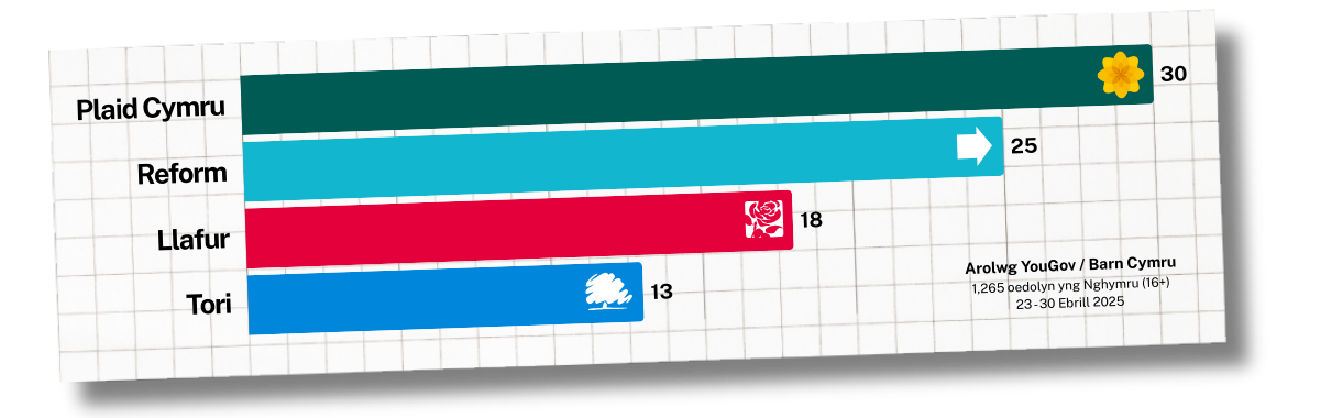 Cronfa Ymgyrchu - Plaid Cymru