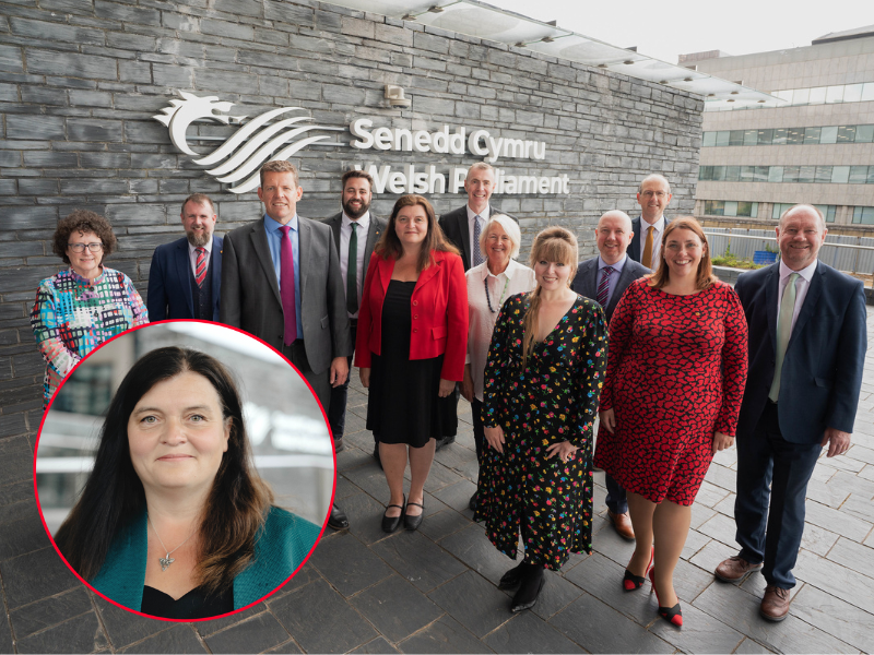 Sioned Williams AS - Plaid Cymru - Gorllewin De Cymru