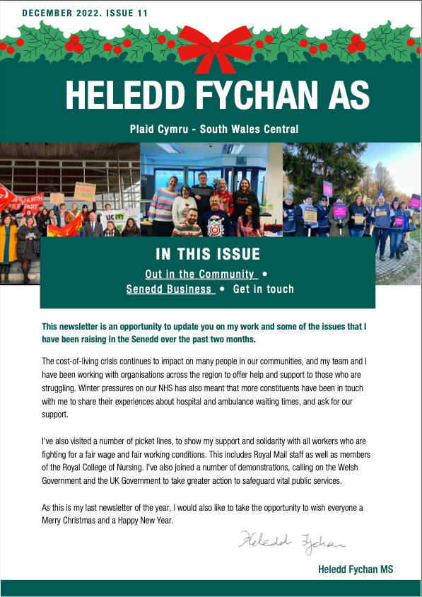 Newsletter - Heledd Fychan ENG