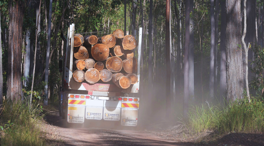Timber plan sets ‘worrying path’ for public native forests - Queensland ...