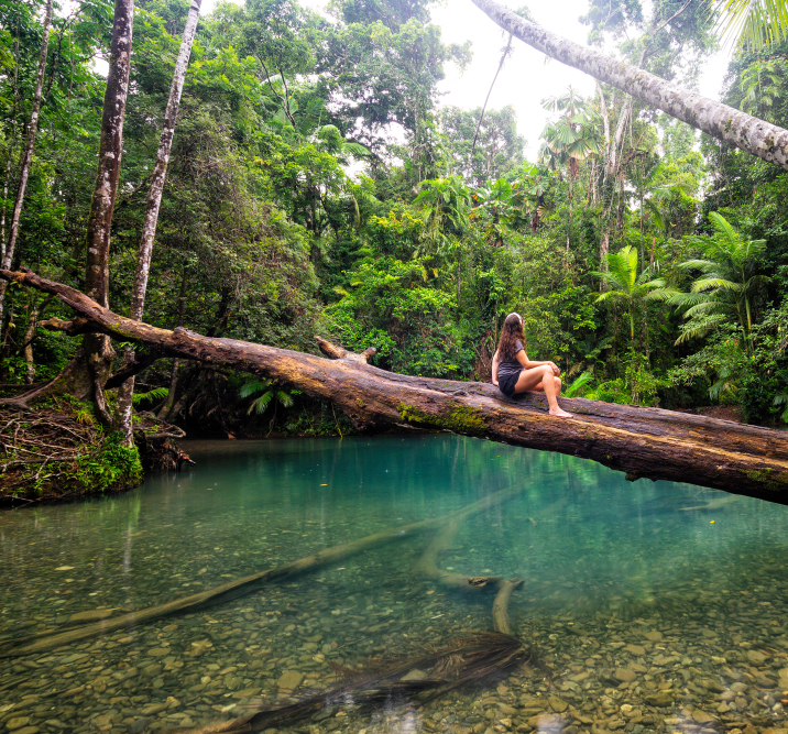 Protected Areas Campaign - Queensland Conservation Council