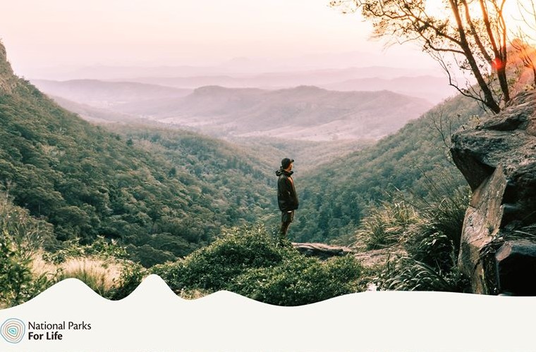 Stimulus boost for Queensland national parks welcomed, but more needed ...