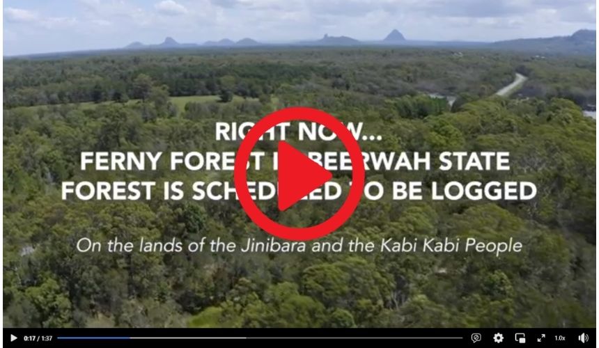 SEQ Native Forests - Queensland Conservation Council