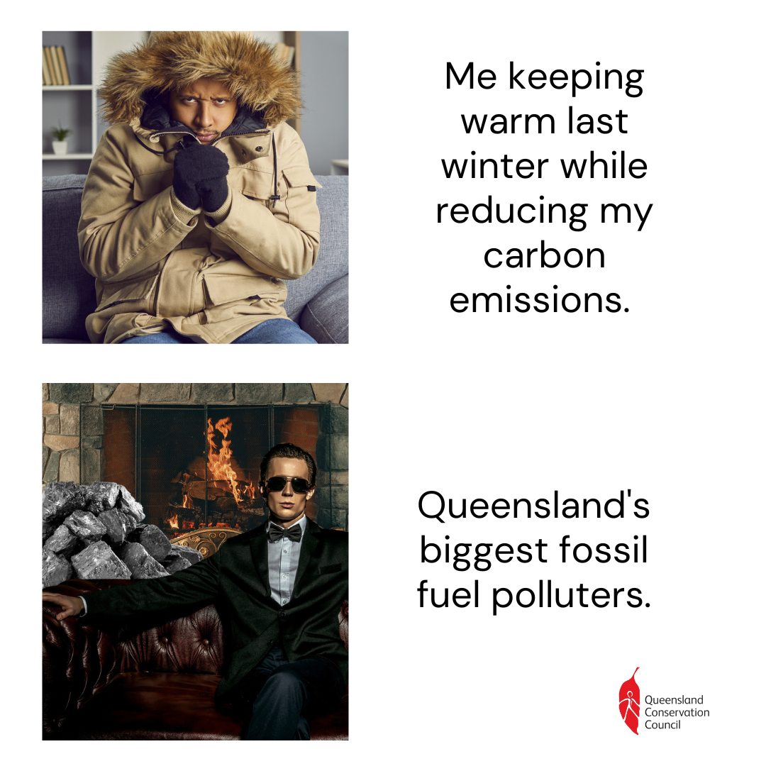 Dirty_Dozen_SignUp - Queensland Conservation Council