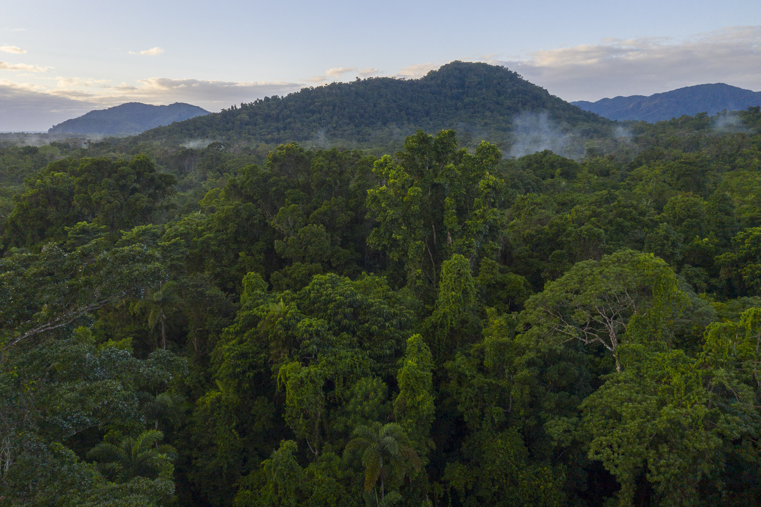 Warning on risks to the Daintree Rainforest and World Heritage values
