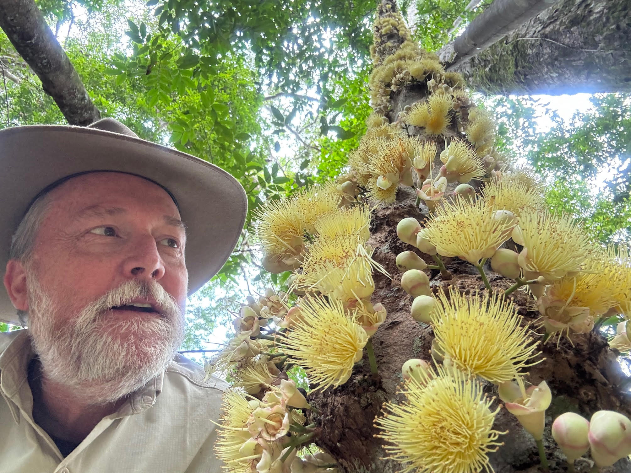 Survey of Daintree's Lot 92 finds 7 threatened species - Save the Daintree