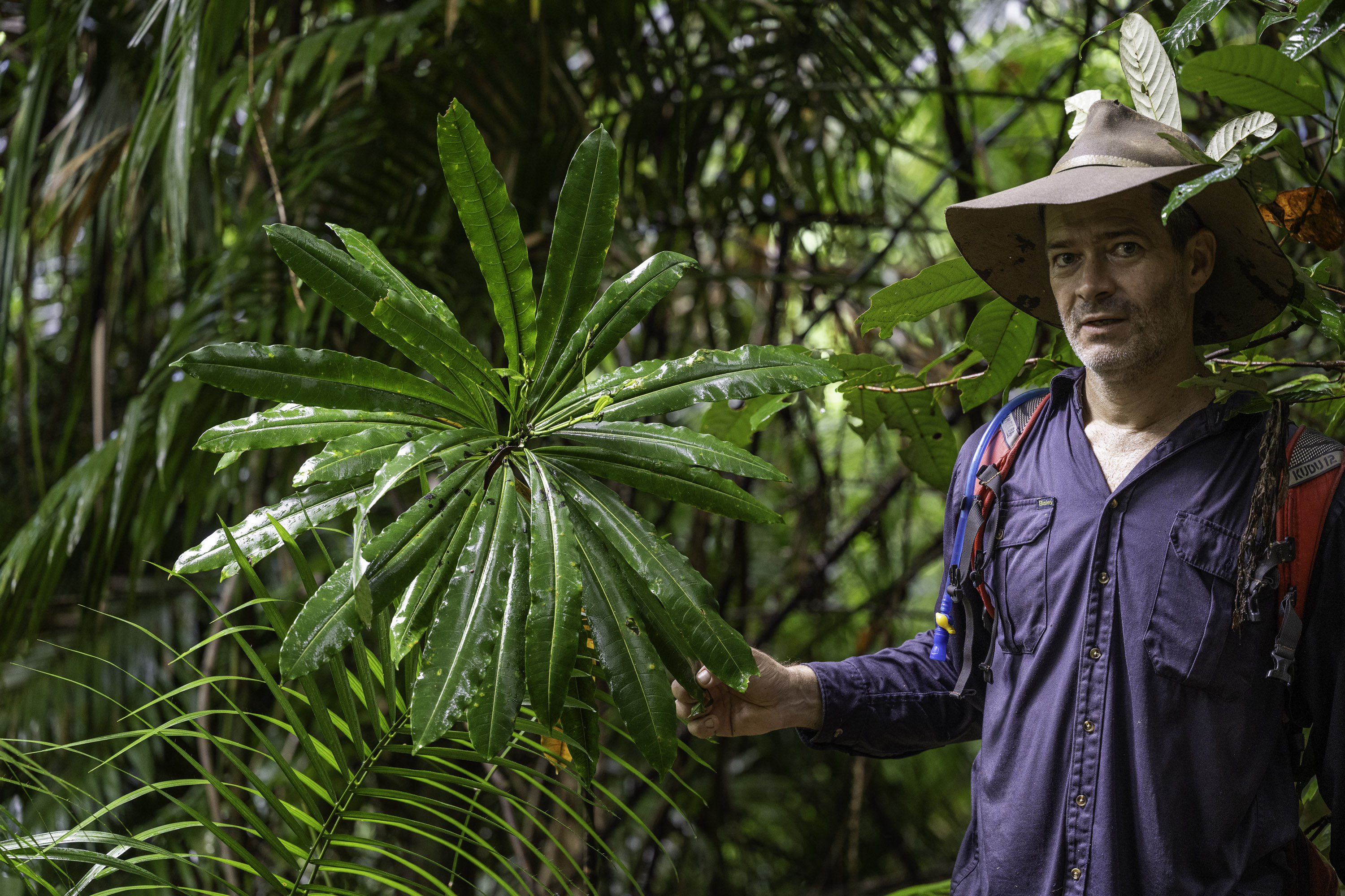 Purchase and protect Possum Ridge