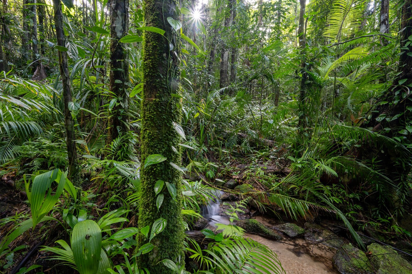 Possum Ridge: A Climate Refuge for Threatened Species