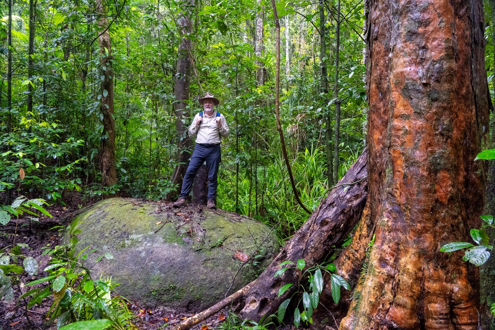 Possum Ridge: A Climate Refuge for Threatened Species