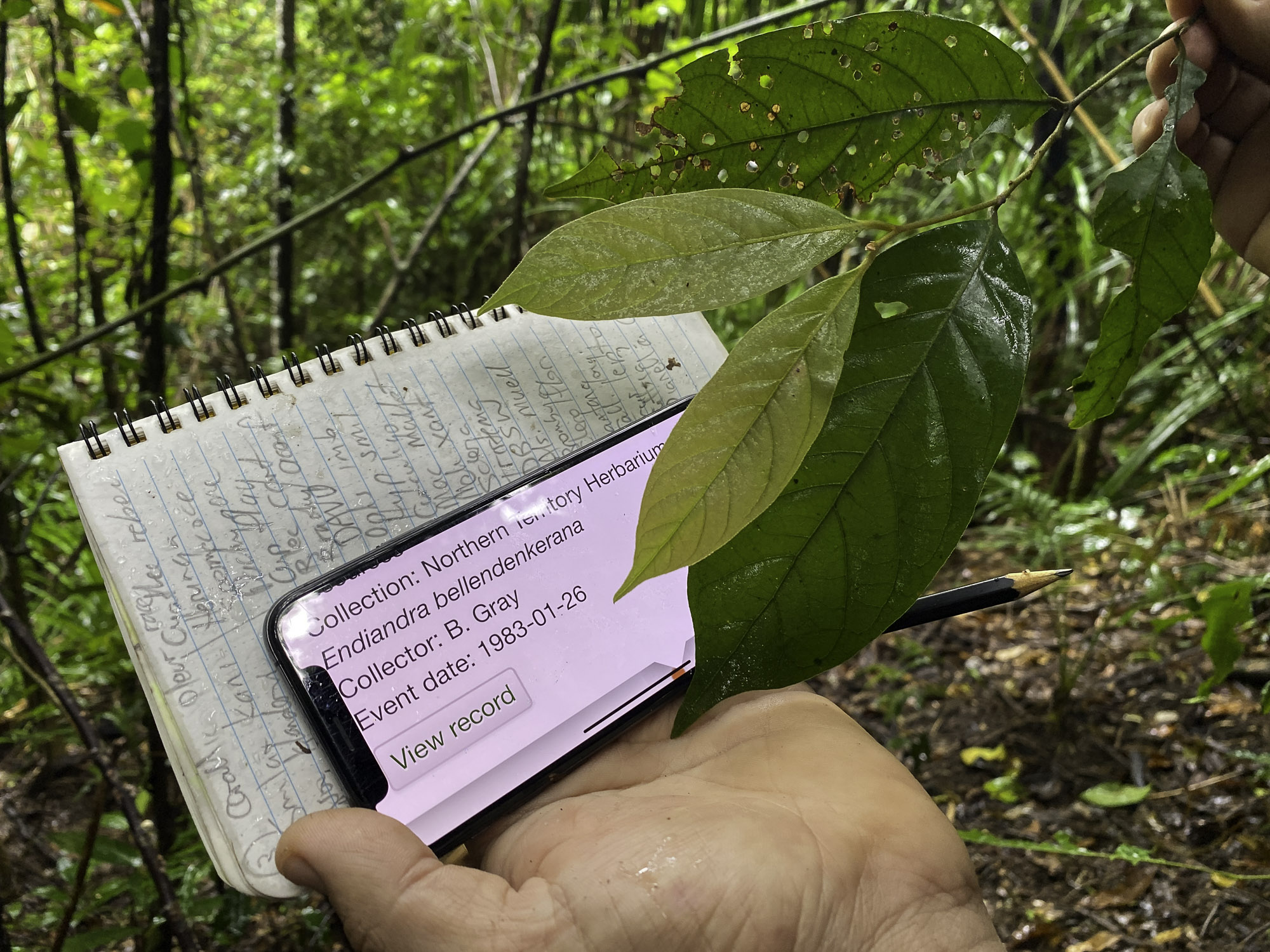 Possum Ridge: A Climate Refuge for Threatened Species