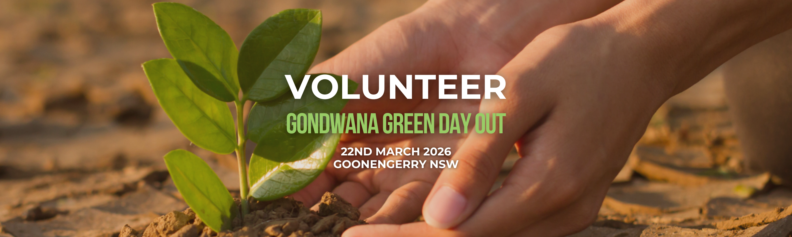 Gondwana Green Day Out - Rainforest Rangers