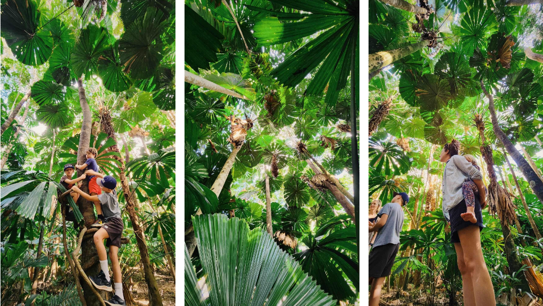 We Are Explorers - where values and actions align