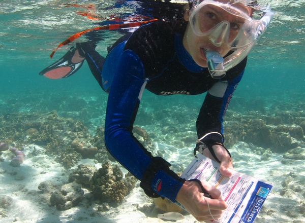 REEFSearch - Reef Check Australia