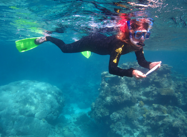 REEFSearch - Reef Check Australia