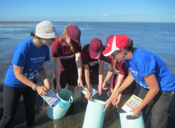 REEFSearch - Reef Check Australia
