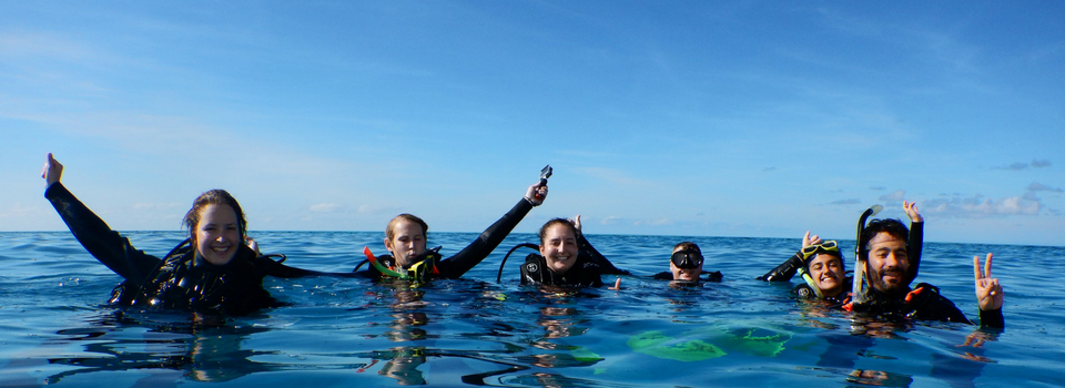 Citizen Science - Reef Check Australia