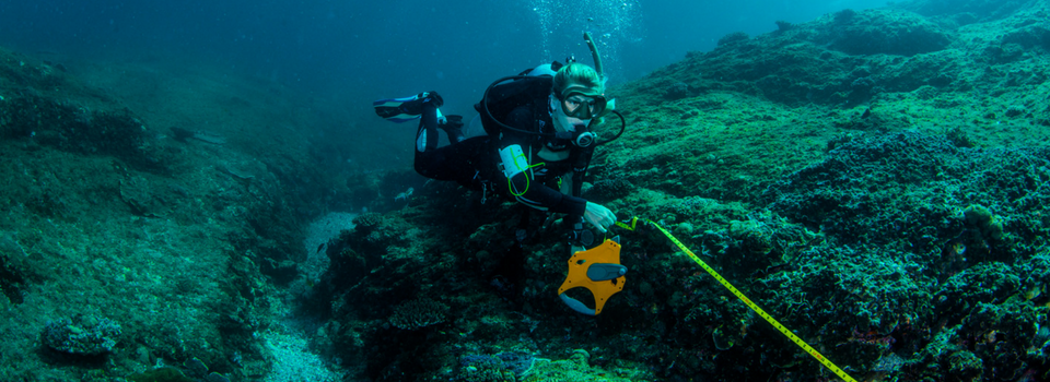 Methods - Reef Check Australia