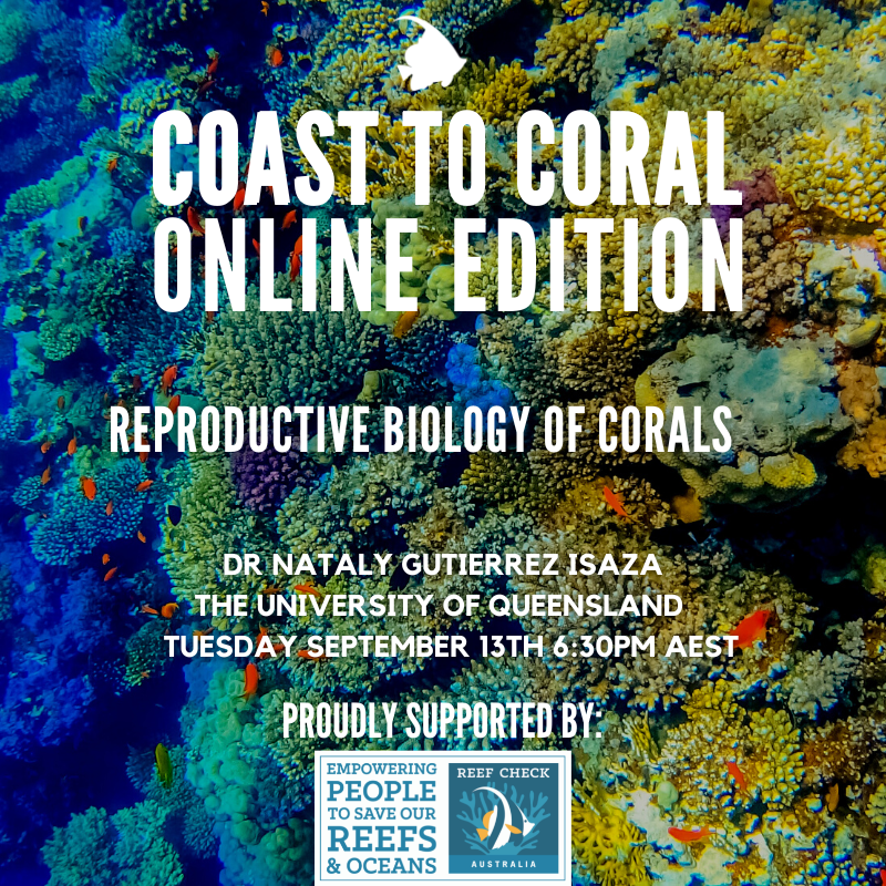 Coast to Coral: Coral Reproduction