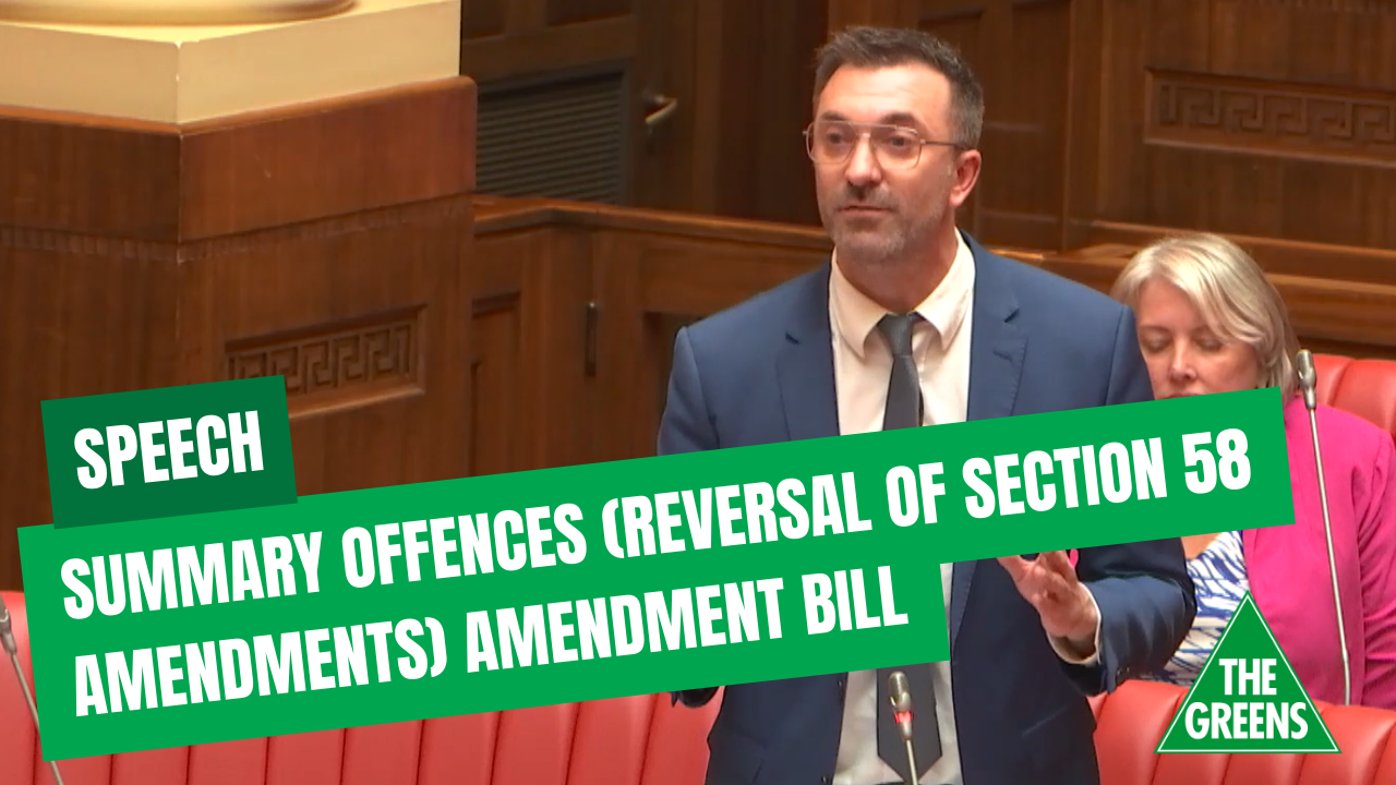 Summary Offences (Reversal of Section 58 Amendments) Amendment Bill ...