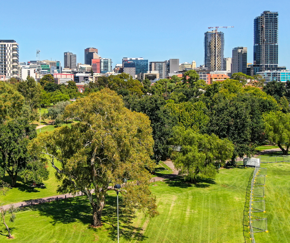 Join the Fight to Protect Our Park Lands - Robert Simms MLC