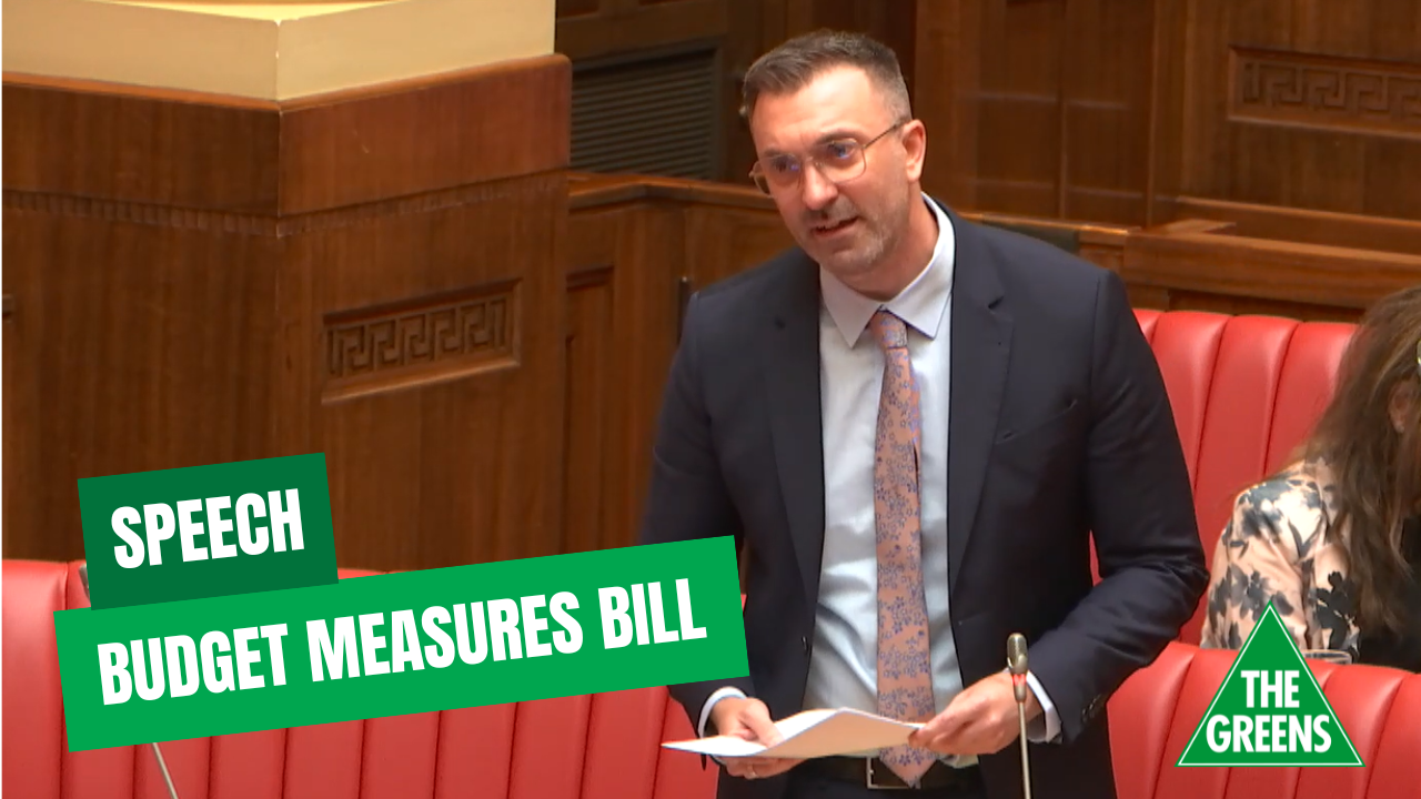 Speech: Budget Measures Bill - Robert Simms MLC
