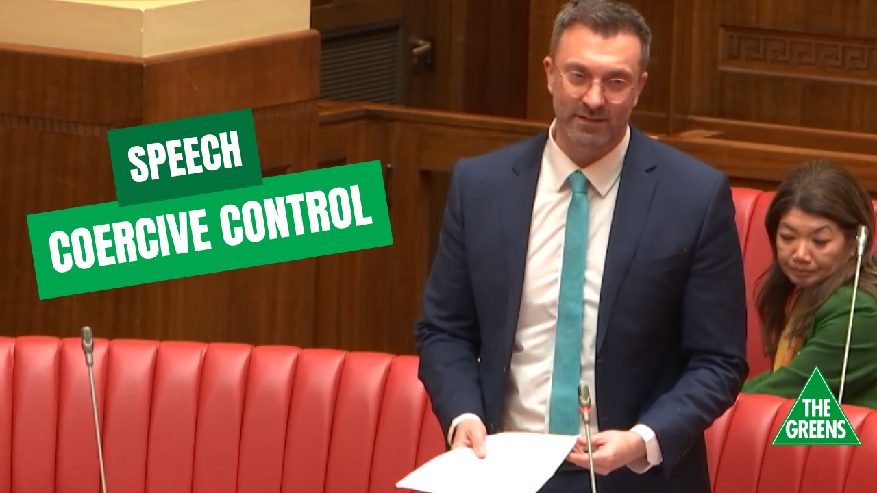 Speech: Coercive Control - Robert Simms MLC