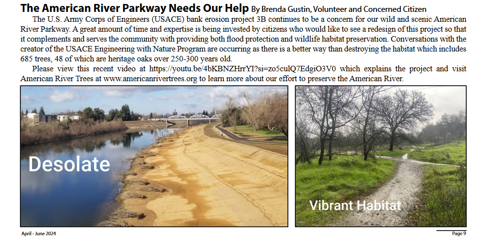 USACE/SAFCA's Proposed Levee Improvement Assessment - Save the American ...