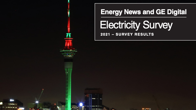 Energy Industry Survey puts grid-scale solar plus batteries first - SEANZ