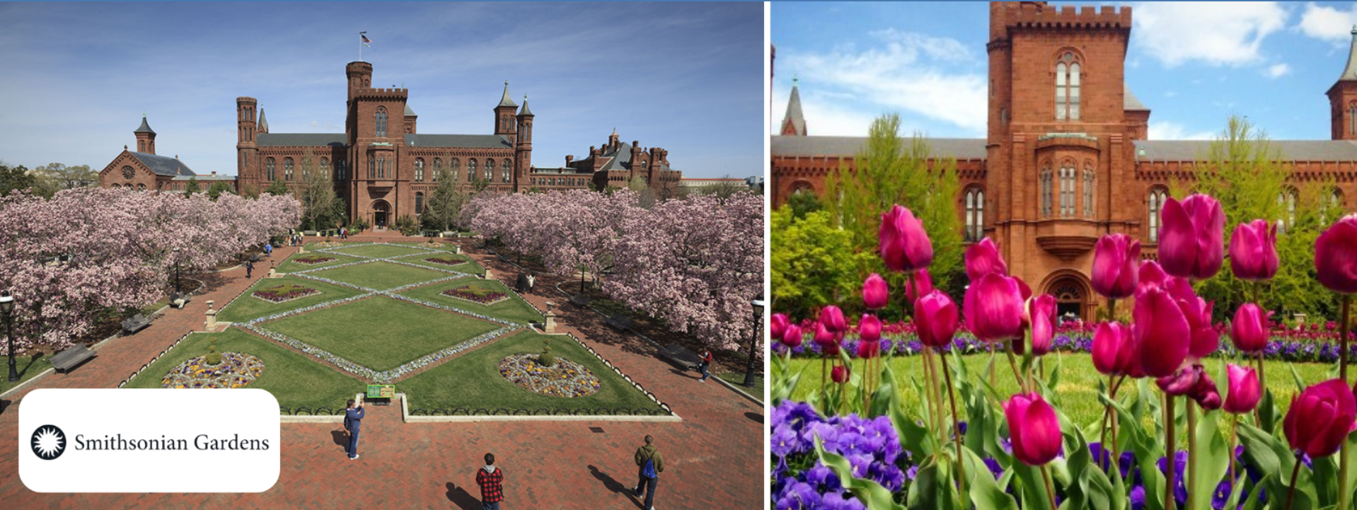 Exploring Careers Opportunities in Horticulture - Seed Your Future