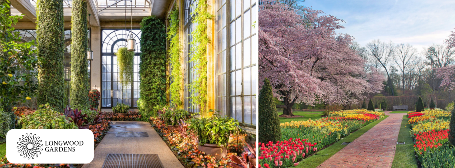 Exploring Careers Opportunities in Horticulture - Seed Your Future