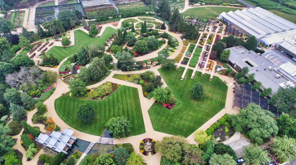 Cultivating Careers: Inside Ball Horticultural Company's Innovations ...