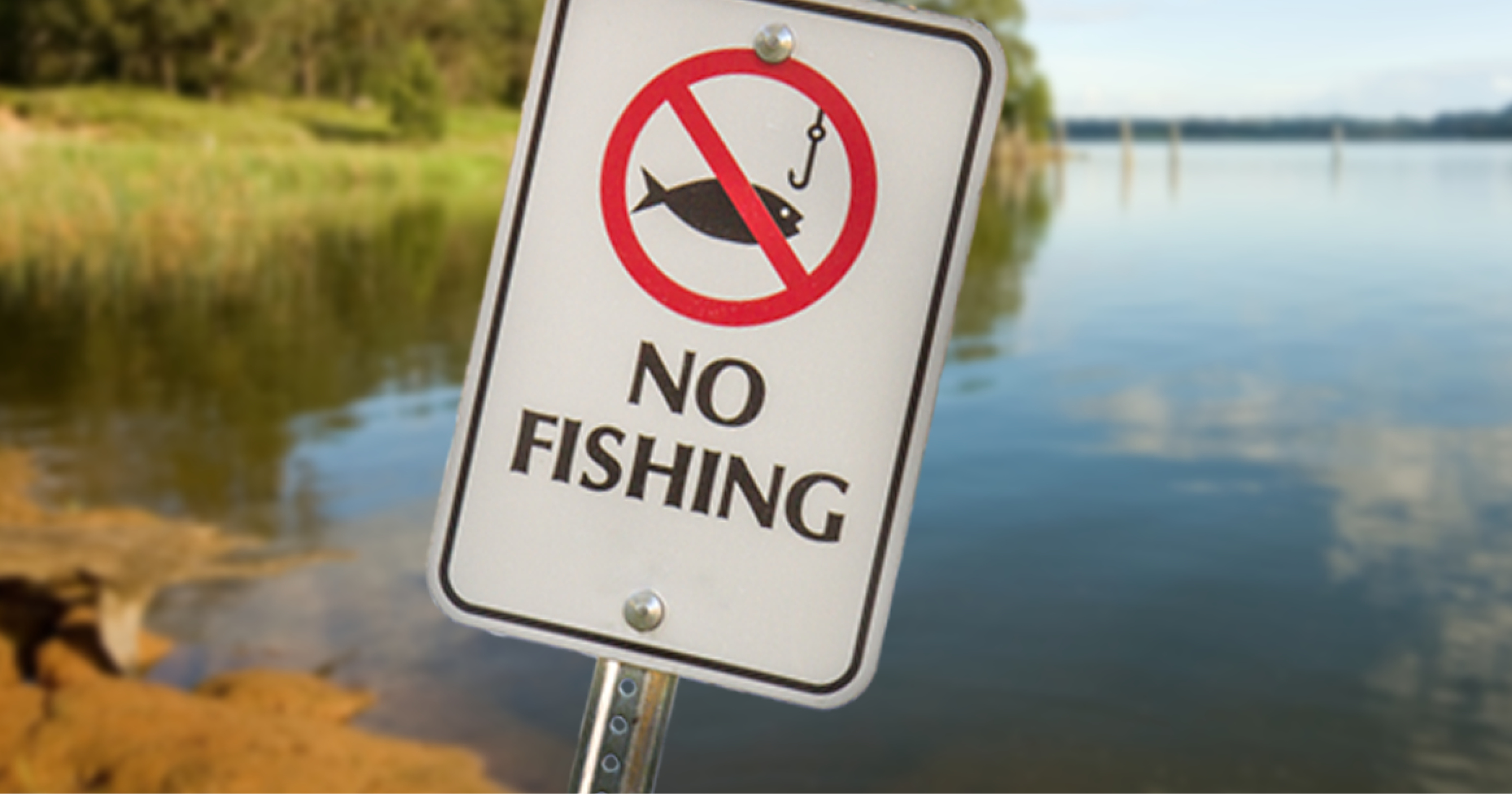 Protect Recreational Fishers - Shooters, Fisher & Farmers Party