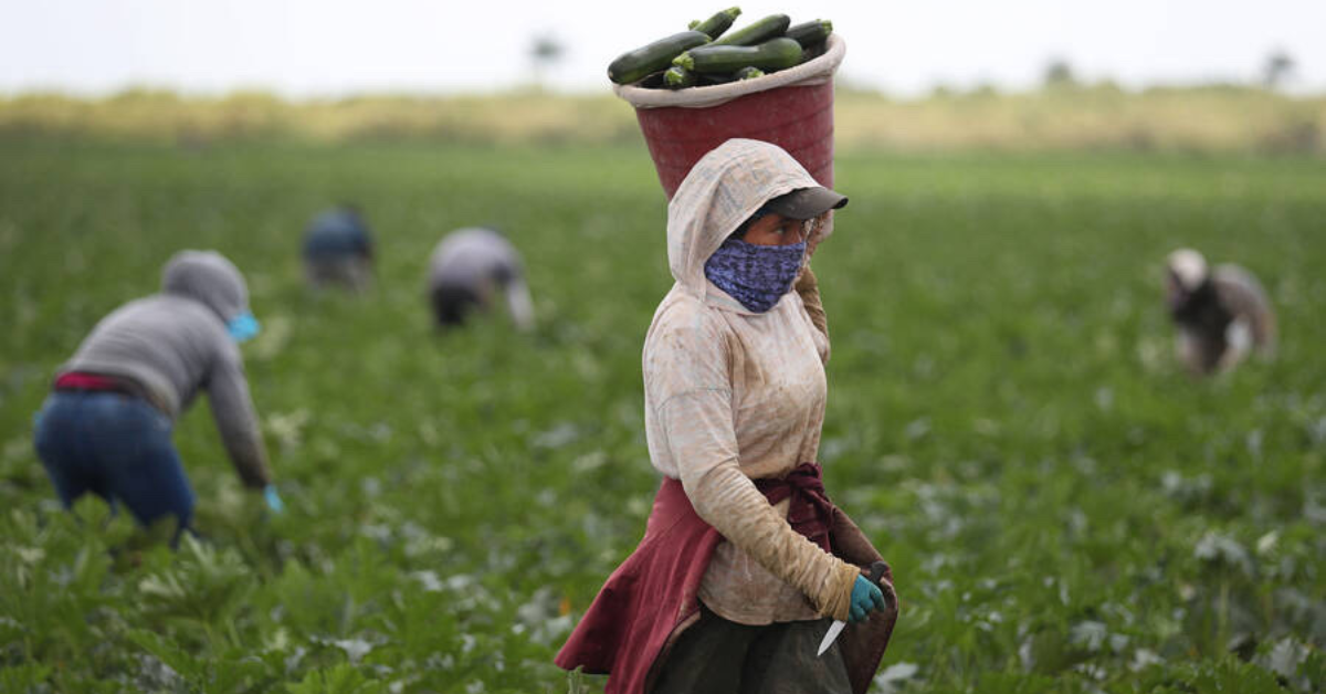 Home - The UFW Foundation