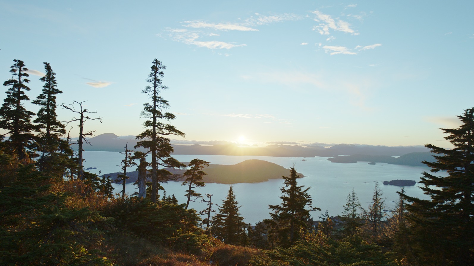 The Salmon Forest Documentary Film