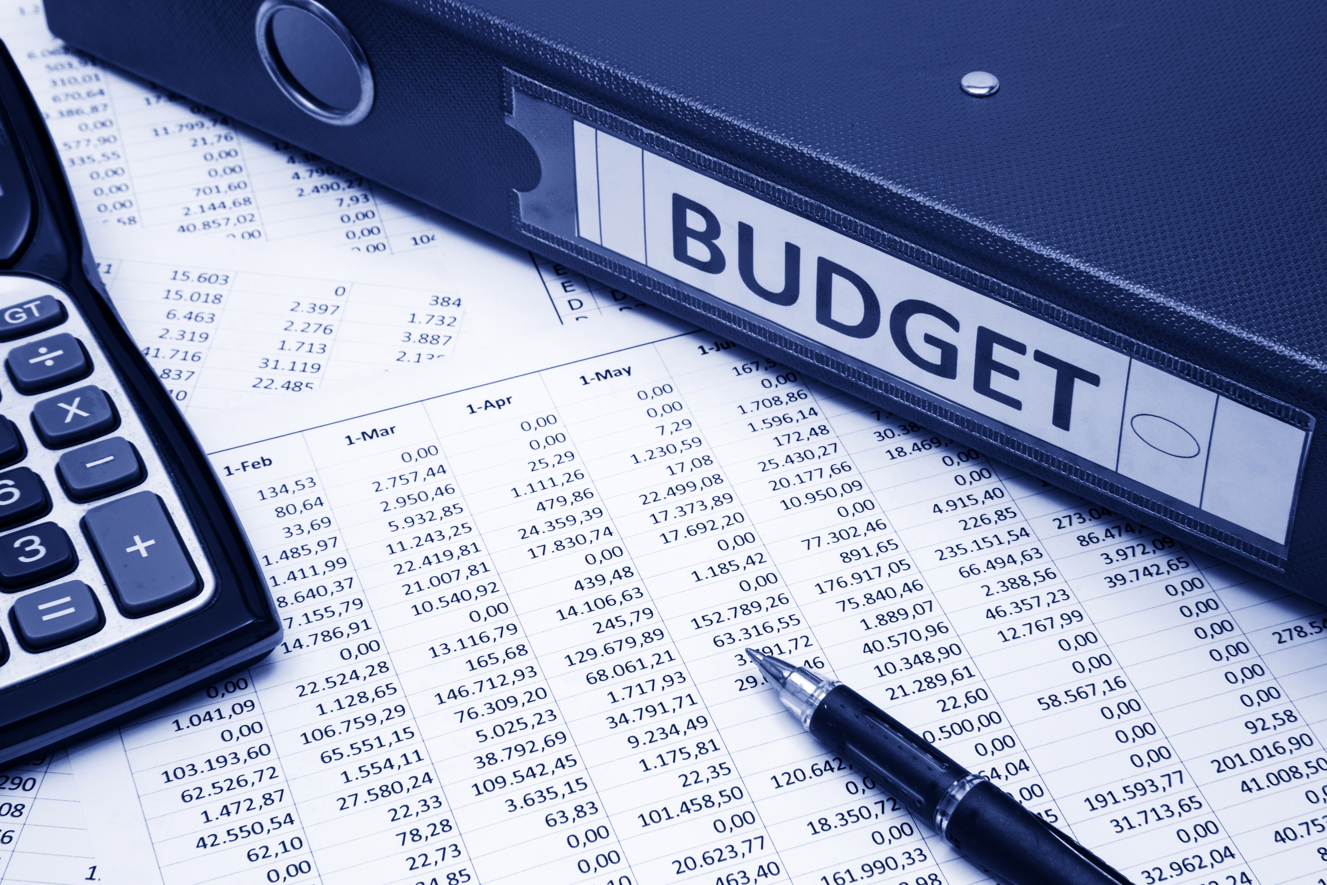 Governor’s FY 2026 executive budget: The Good and The Bad - South ...