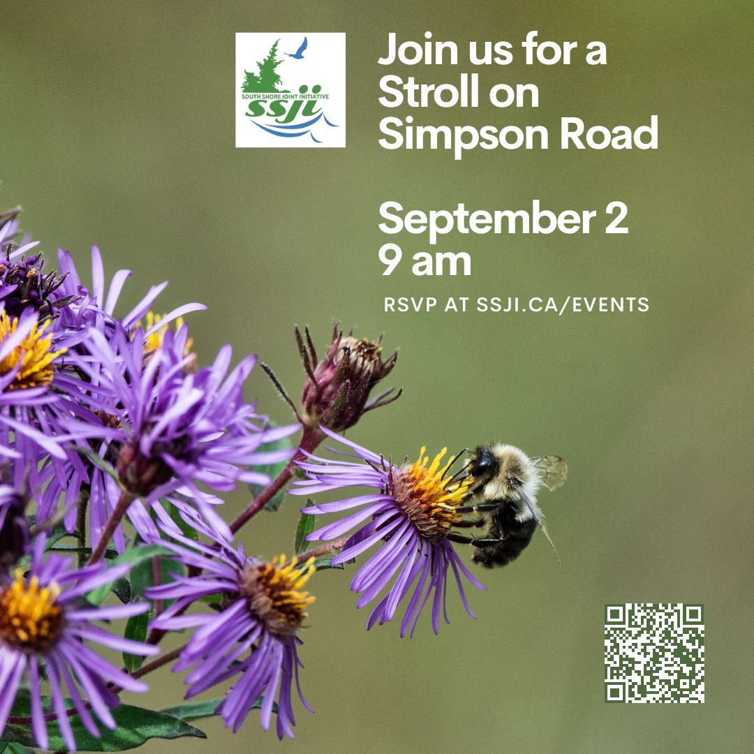 Stroll Simpson Road 2023 - South Shore Joint Initiative