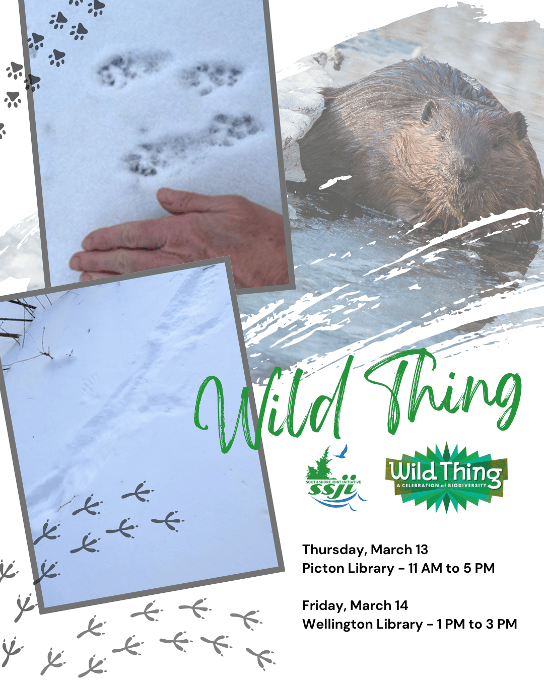 Wild Thing March Break 2025 - South Shore Joint Initiative