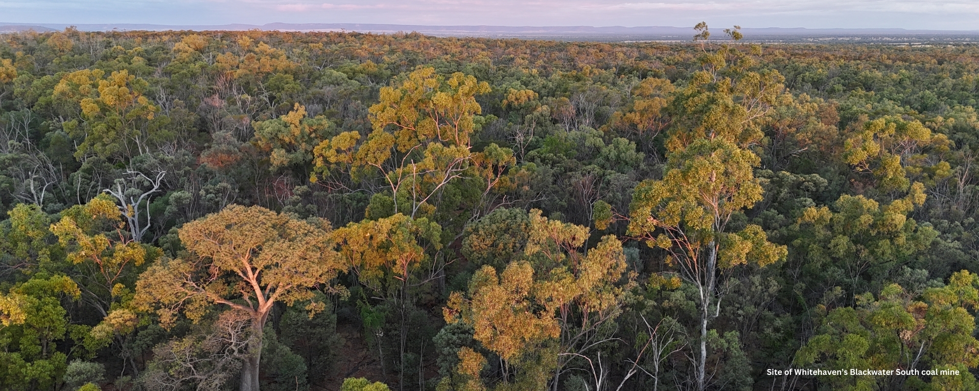 Whitehaven’s Blackwater South coal mine - Move Beyond Coal