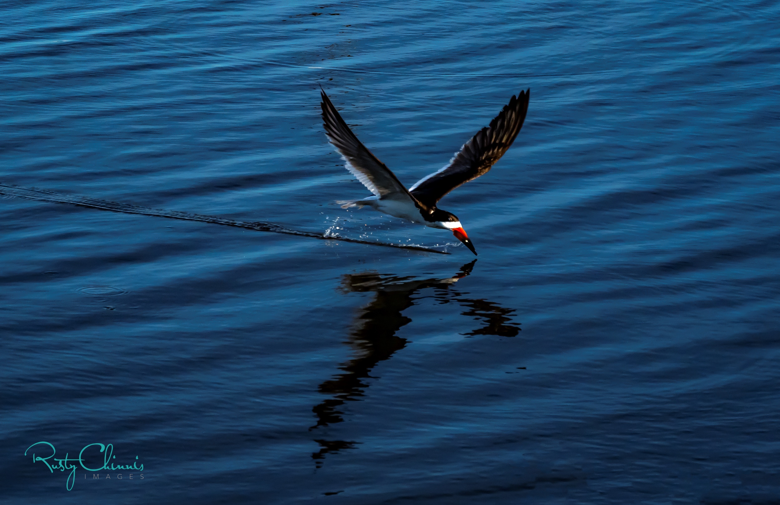 About Us - Suncoast Waterkeeper