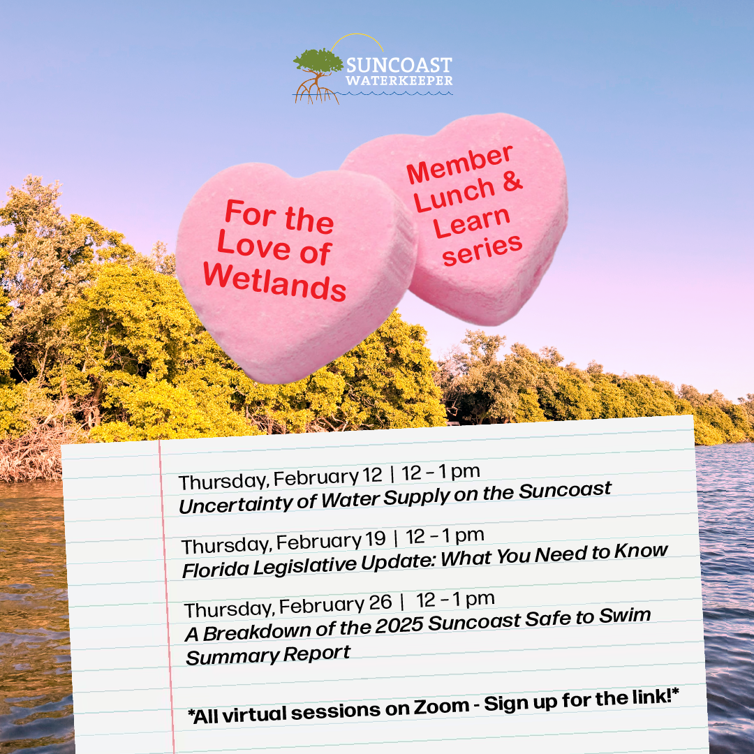 Member Lunch & Learn: Breakdown of 2025 Safe to Swim Summary - Suncoast ...
