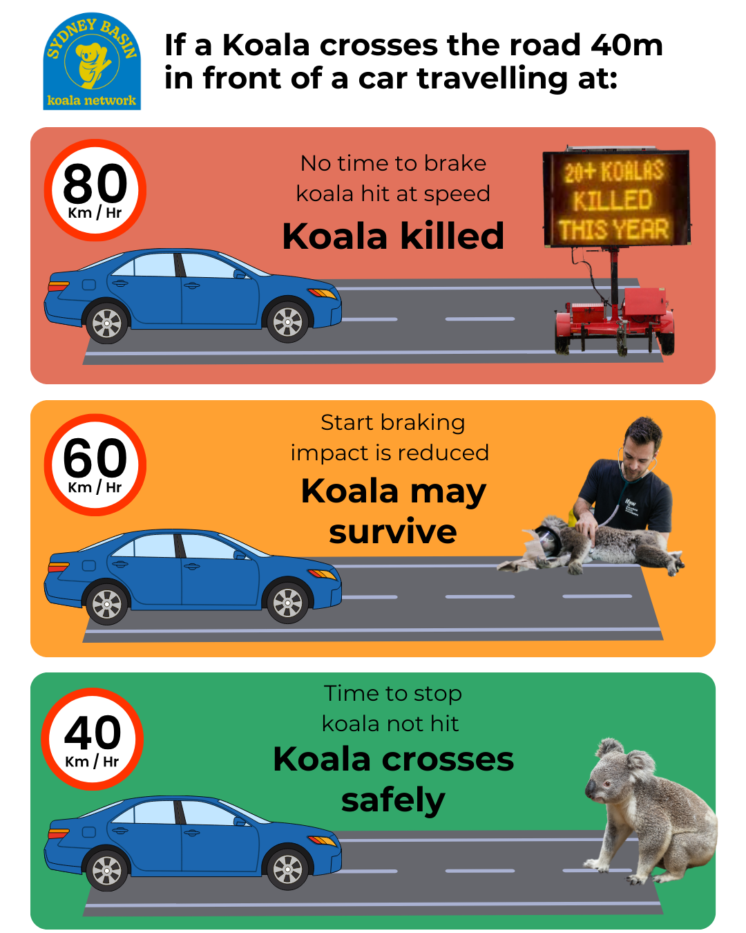 Why Speed Matters for Koalas - Sydney Basin Koala Network