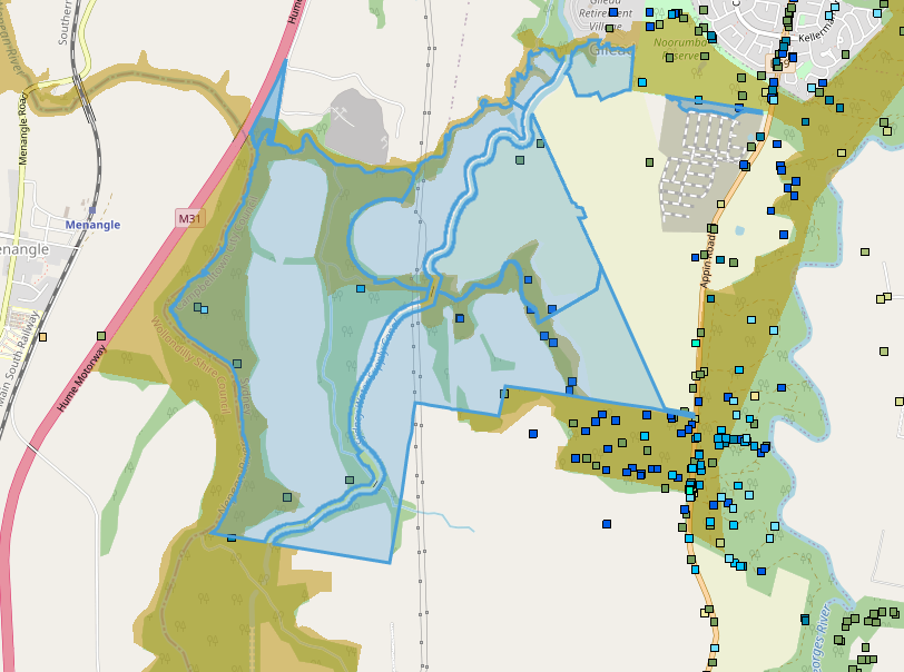 Impacts of Stage 2 Mt Gilead on Koalas - Sydney Basin Koala Network