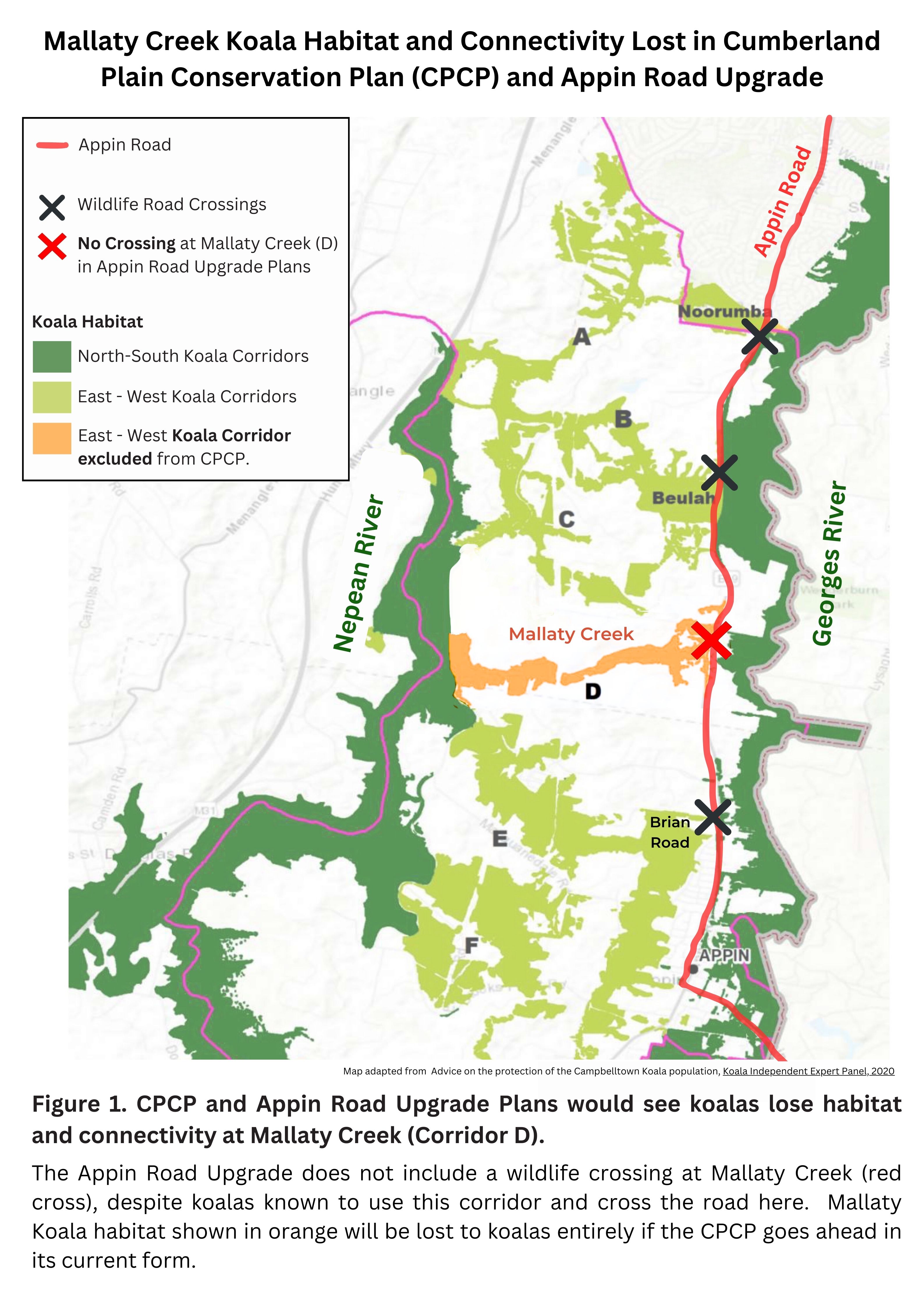 Appin Road Upgrade - ongoing compromises instead of safeguarding koalas ...