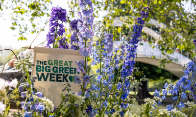 The Great Big Green Week