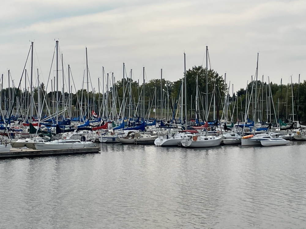 Contact - Ryan Telford for Ottawa West—Nepean