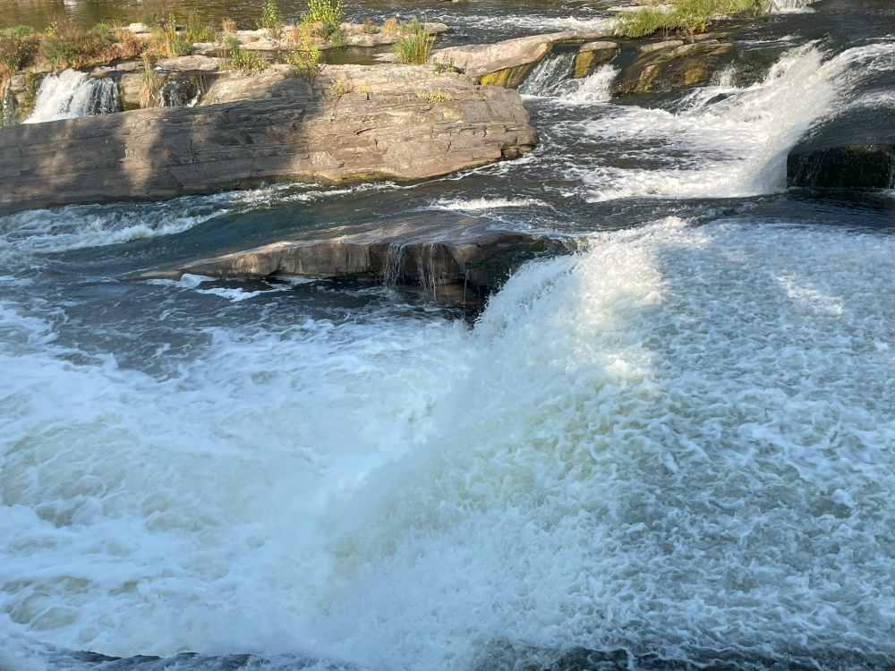 Interview: Natural Resources & the Environment - Ryan Telford