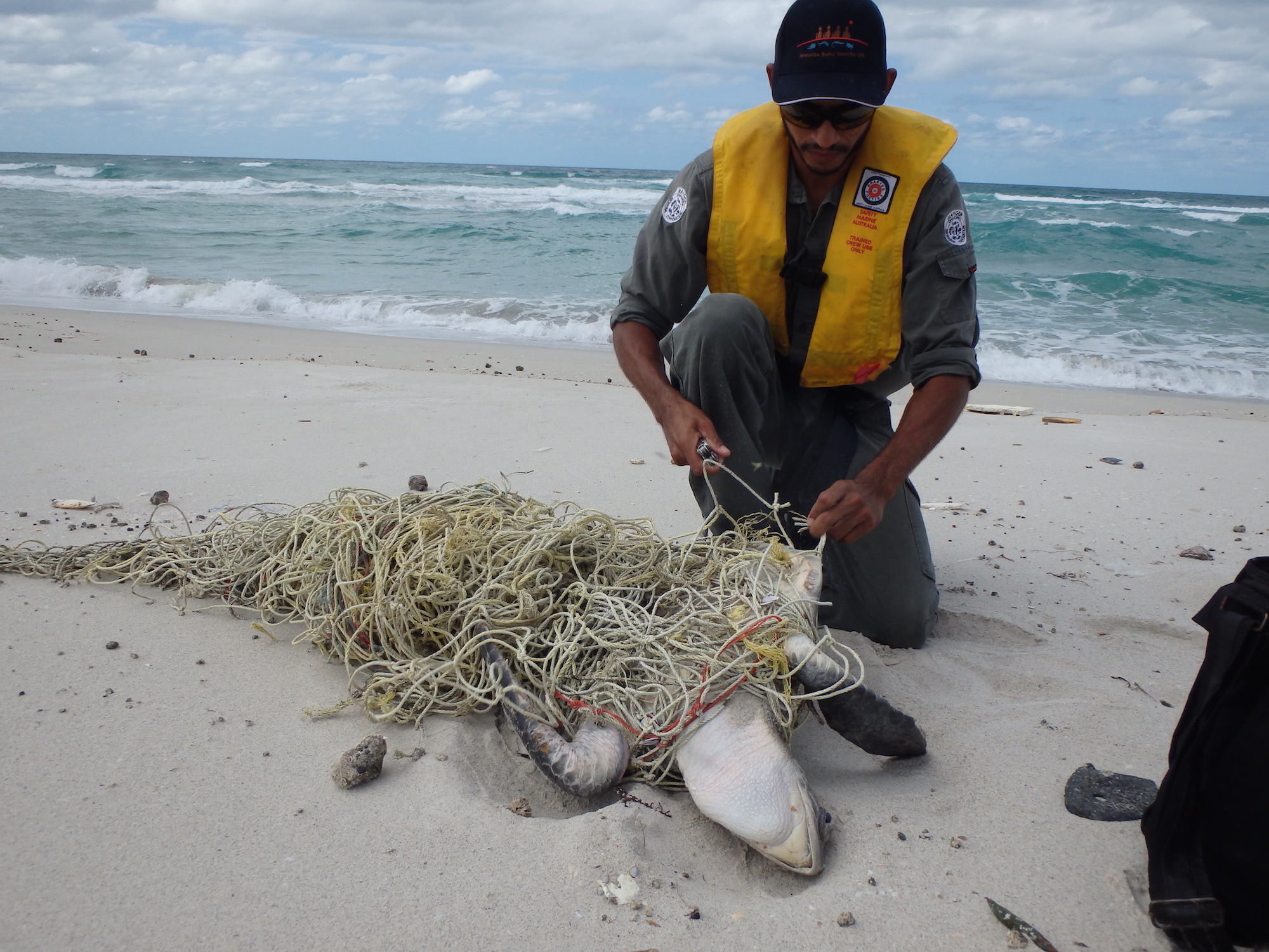 Indigenous rangers are saving species - Country Needs People