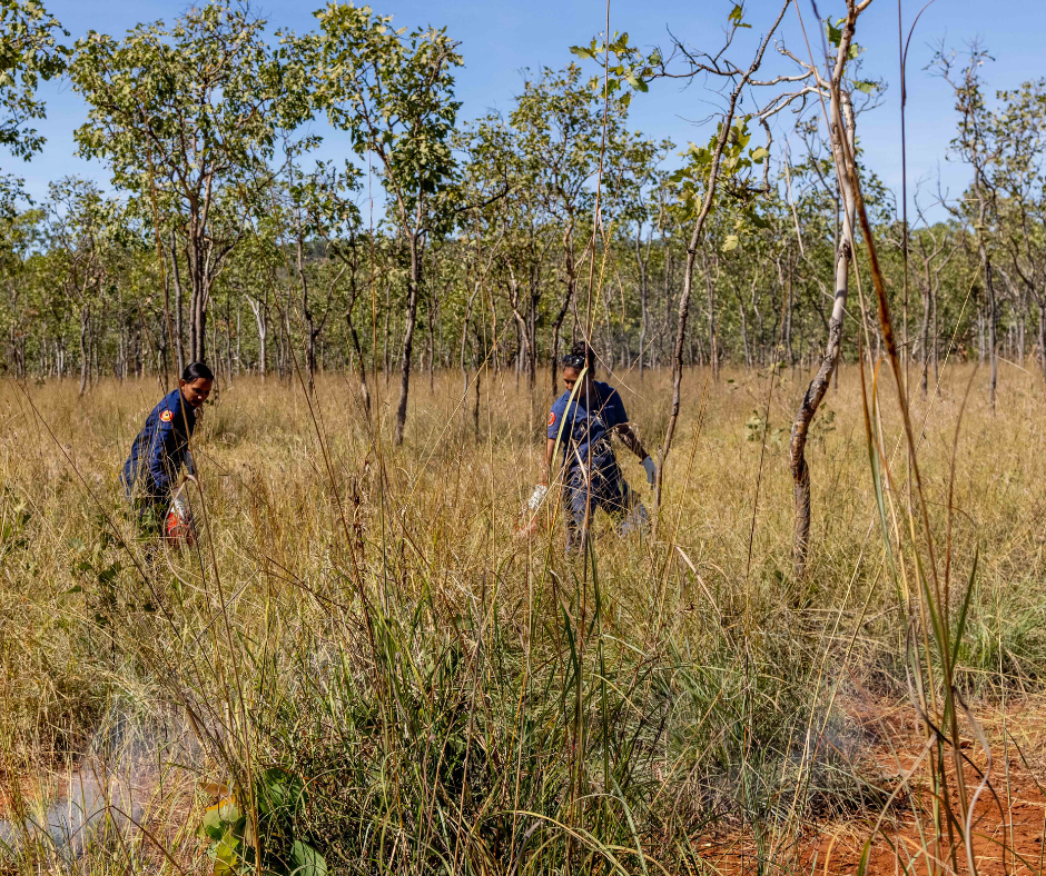 Indigenous Land Management Network Urges Change to Counter Inflation ...